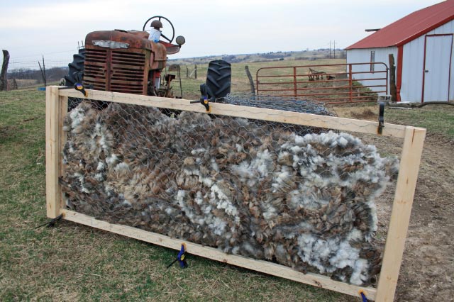 The Coffman Spinning C Fiber at Fineview Acres: Washing a wool fleece