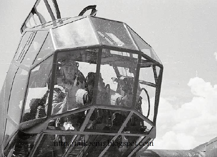 FalkeEins - the Luftwaffe blog: Focke Wulf Fw 189 ops in Russia with 2 ...