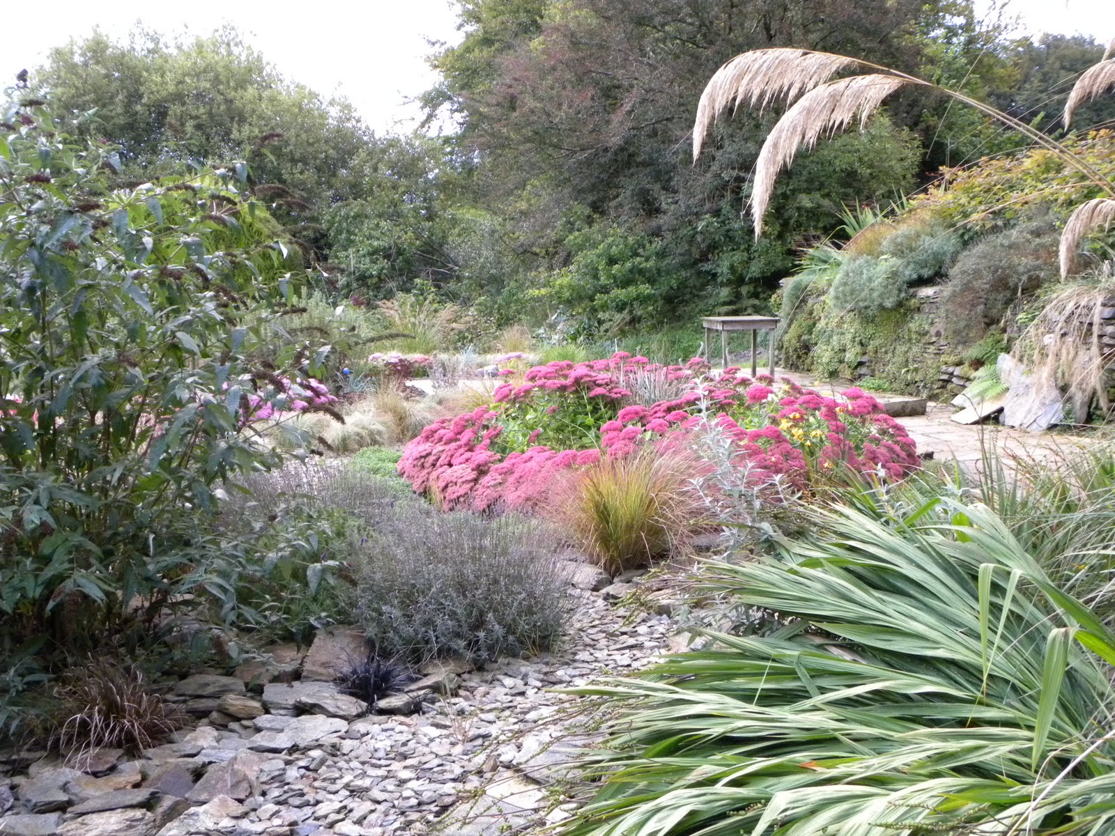 Ruta's Ramblings: The Scree Garden.