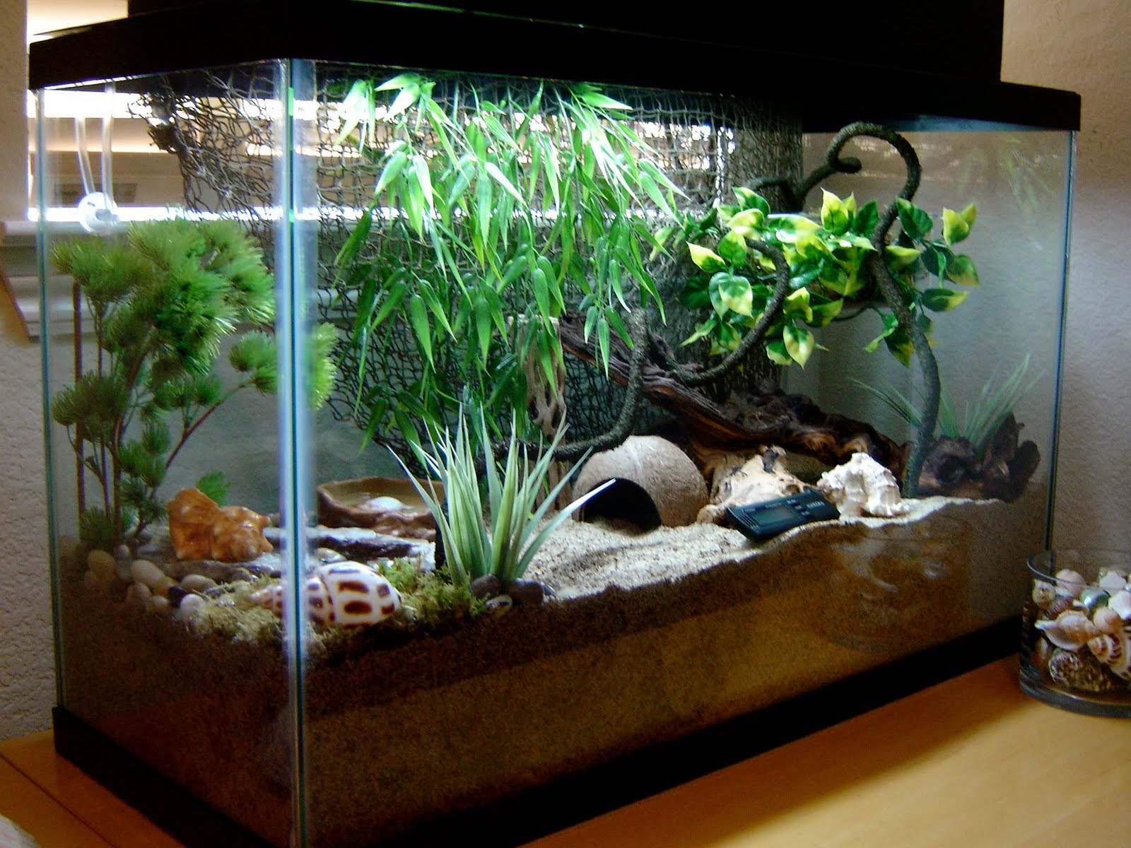 Awesome crabitat. | Hermit crabitats | Pinterest | Fake Plants, Shower ...