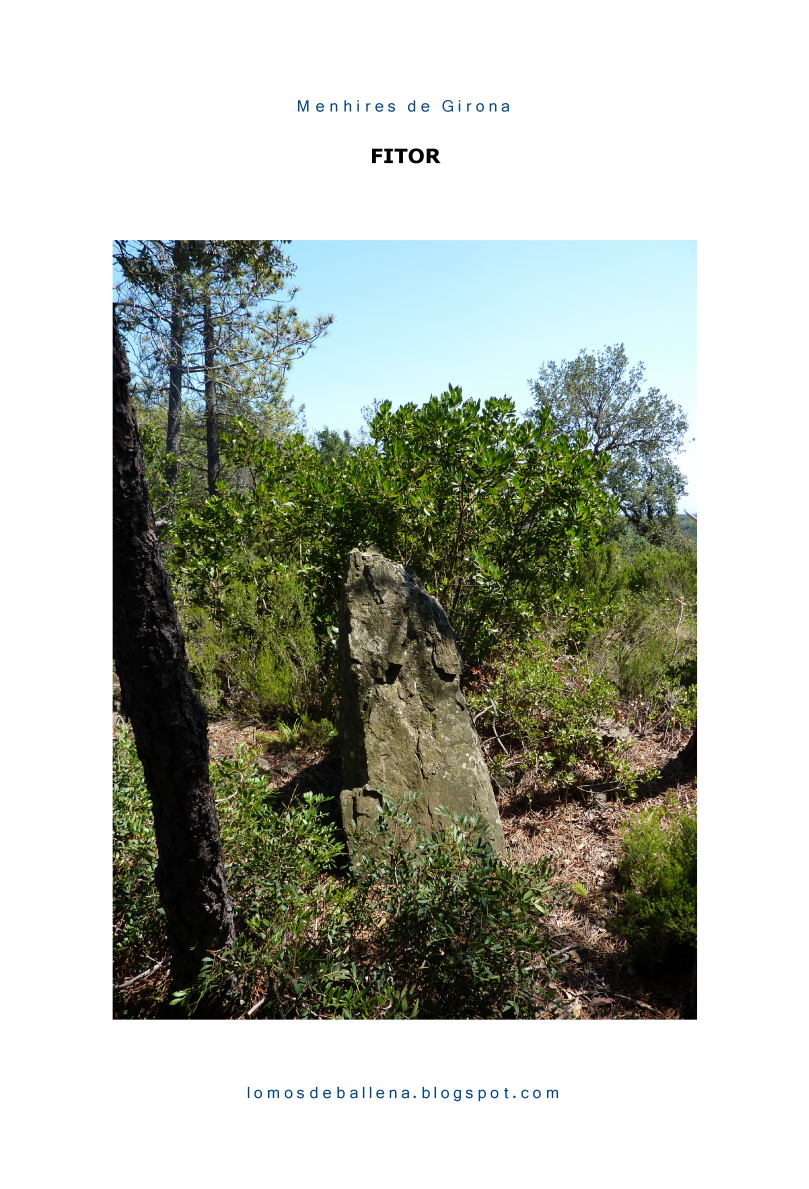 Menhires de Girona: Fitor