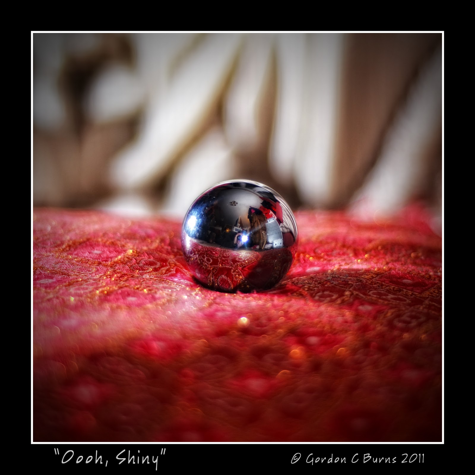 The adventures of one man and his camera: January 2011