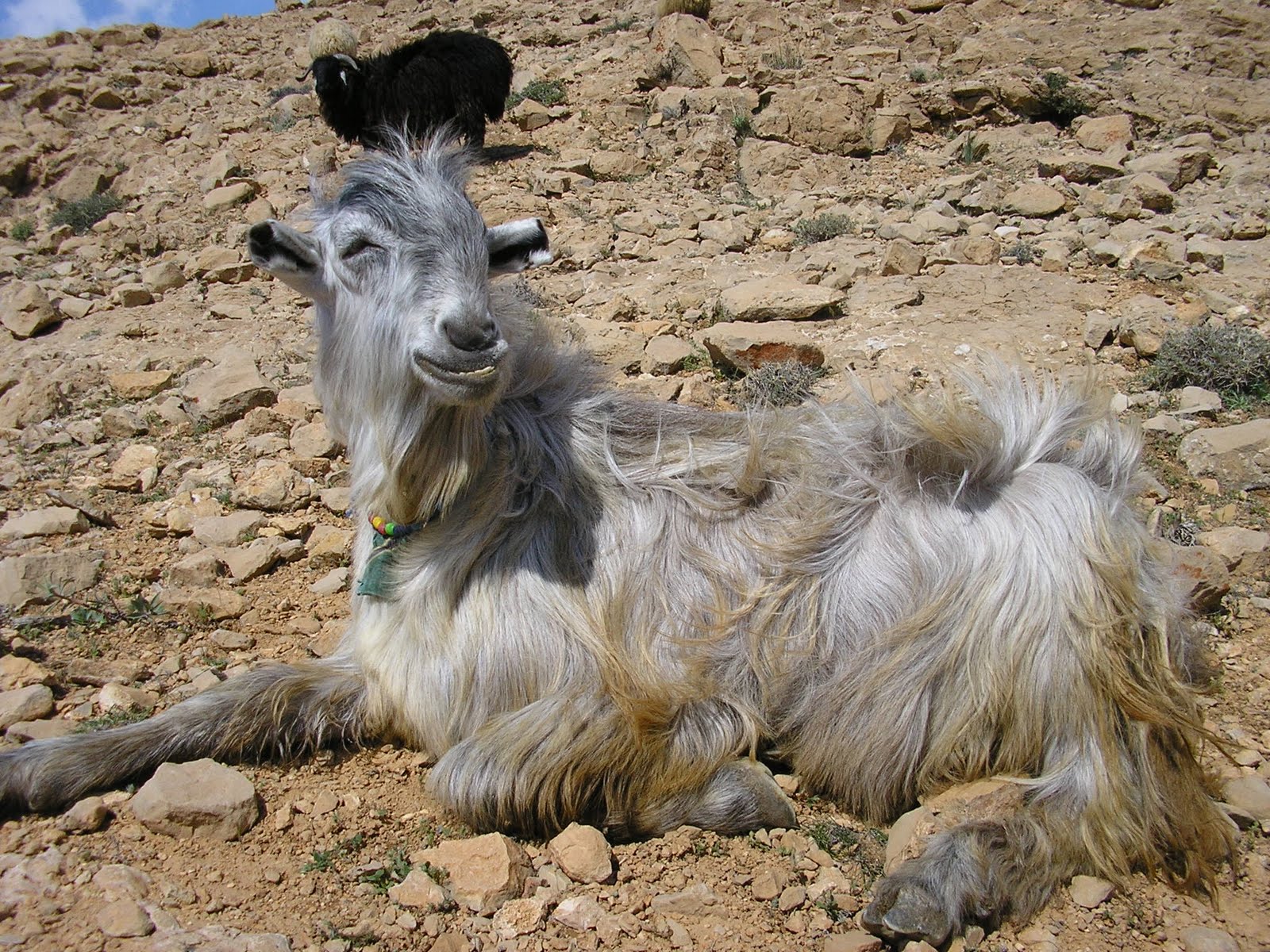 dairyspecialistinrussia: Historic Sites in Lebanon