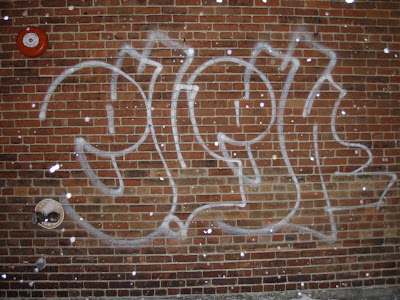 City Of Buffalo Graffiti: Buffalo Graffiti On Elmwood Avenue