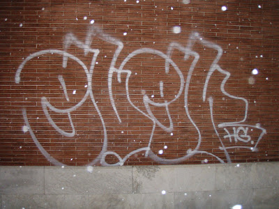 City Of Buffalo Graffiti: Buffalo Graffiti On Elmwood Avenue