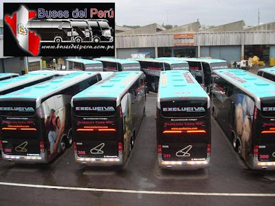 buses latinos: renovação exclusiva