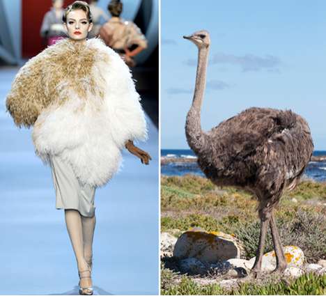 Ed Fadiel: Wild Animal Inspired Design