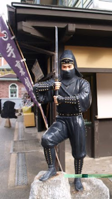 A Prom Dress Gown: The Ninjas - Secret Agents of Medieval Japan