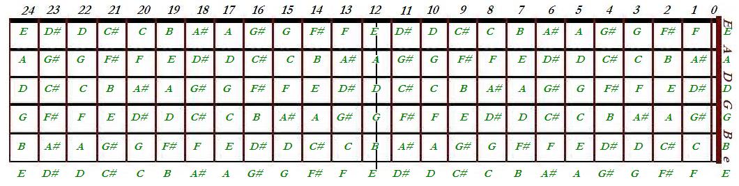 Guitar note map and Guitar chords shapes | Basic Music Theroy