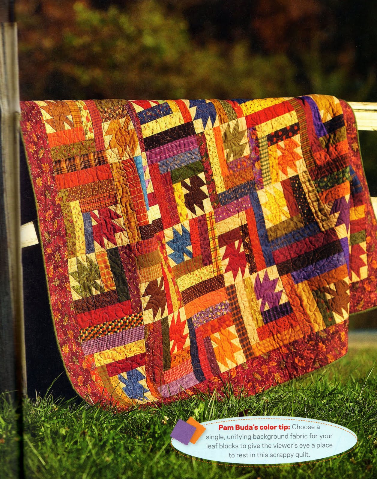 BELL COUNTY QUILTER CUTUPS: Our Friendship Quilt Project