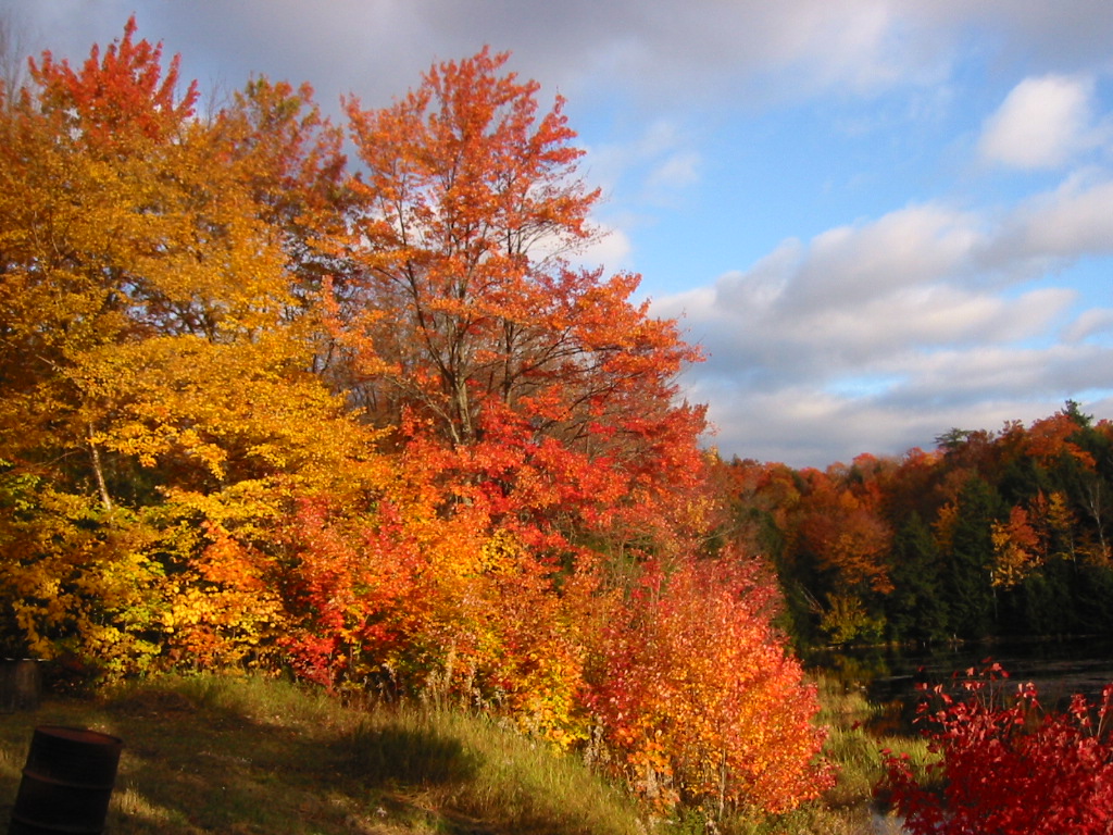 Fall Landscapes Photos | How To Grade Landscape