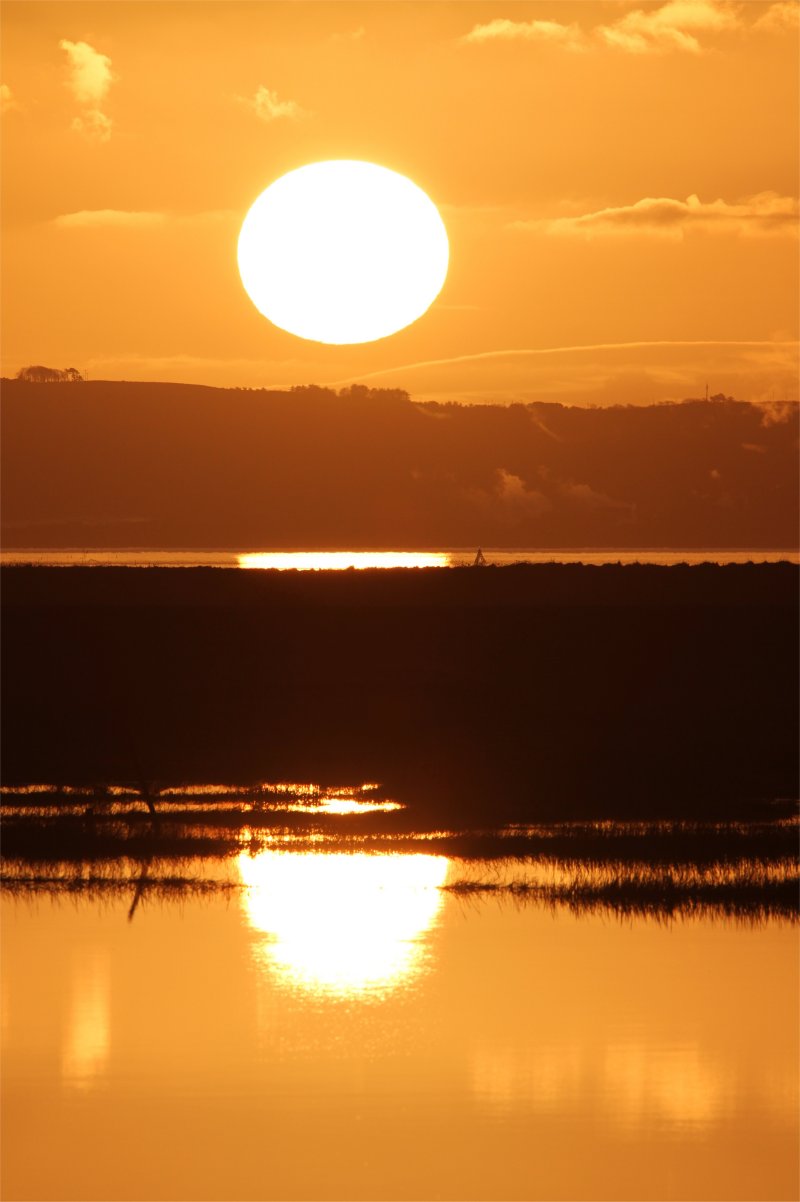 Murfs Wildlife : Sunset