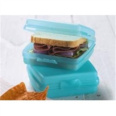Jasmine's Tupperware: Sandwich Keeper