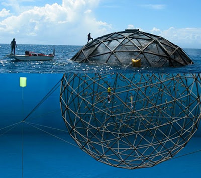 GEEKOUT: The Future of Fish Farming Is Giant Autonomous Roaming Robotic ...