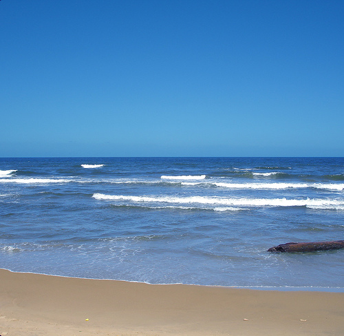 la costa venezolana: playas del estado carabobo y el estado falcon