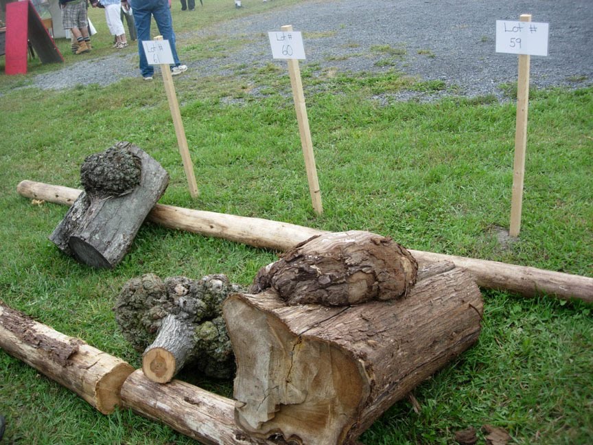 Ronna's Blog: Wood Fair