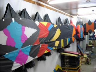 Kite ( basant, lahore ) | Pakistan Photo Gallery