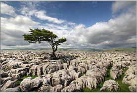 The GROWing Point: From the Mountain-Top to the Valley: Guarding ...