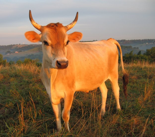 Life of Lopsided 8 | Page 37