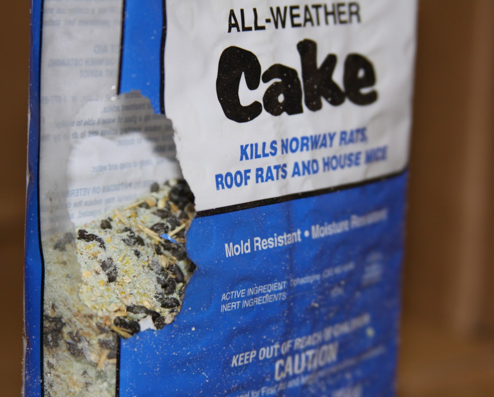 NY Pest Control & Bed Bug Exterminating Blog of Standard Exterminating