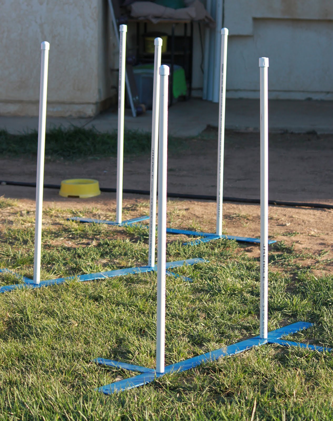 agility adventures: Where do Weave Poles go to die? Training Challenge