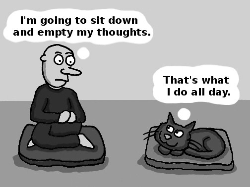 The Cat Ladies: Zen Cat