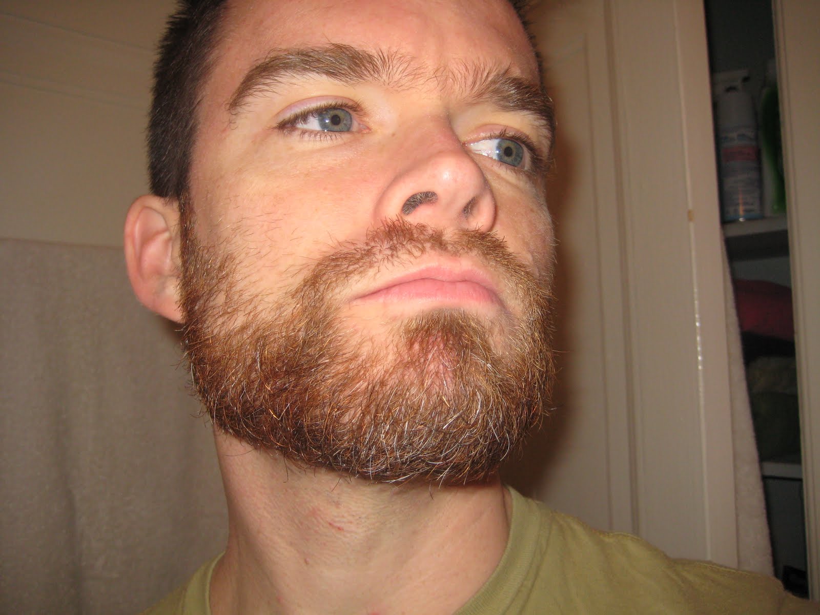 The Beard Blog: Week Twelve: December 6th to 12th