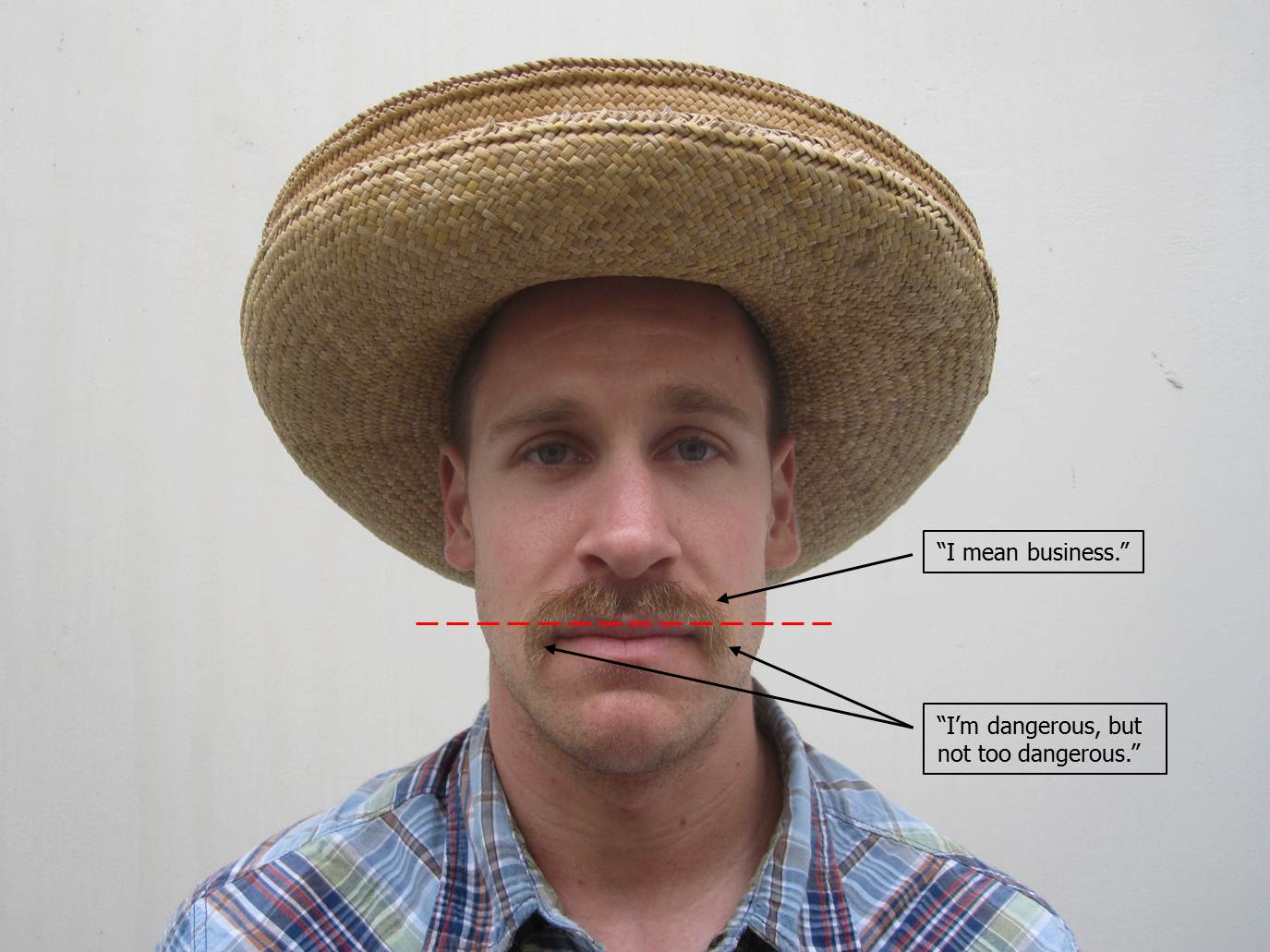 "Brand new life around the bend": Anatomy of a Moose-stache