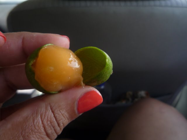 Nicole: Caribbean Fruits: Guineps, Sugar Apple & Sea Grapes