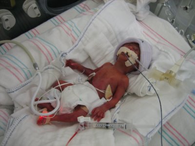 HEAVENSENT LOVE: QUADLINGS ARE BORN