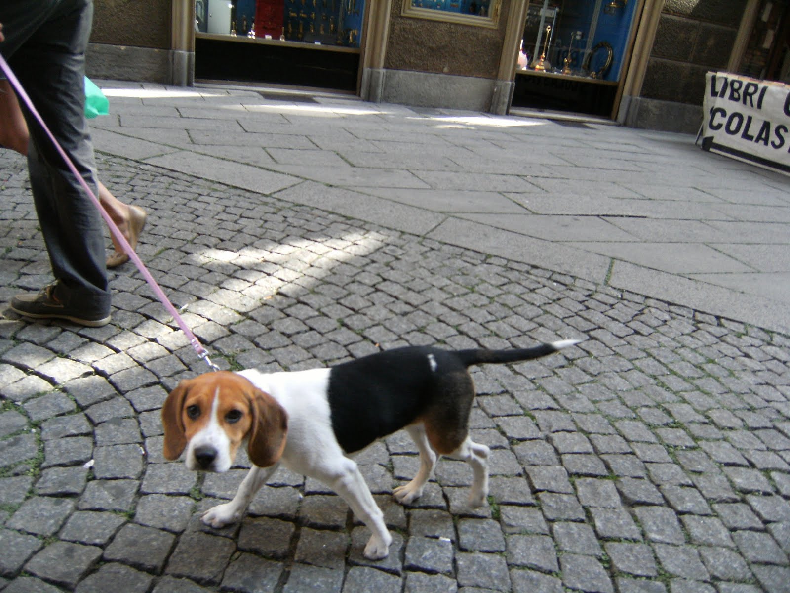 336 hours in Turin: Galumphing through 'Il Centro'