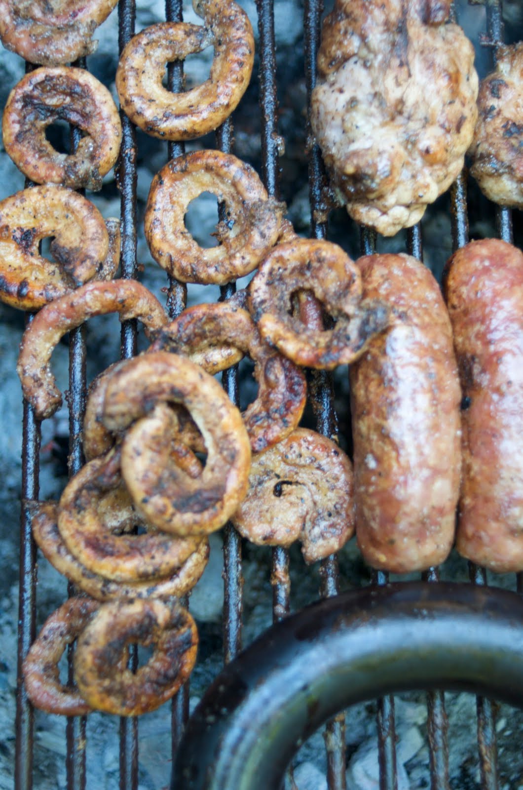 2010/11: TRAVEL, FOOD, PHOTOS: Asado