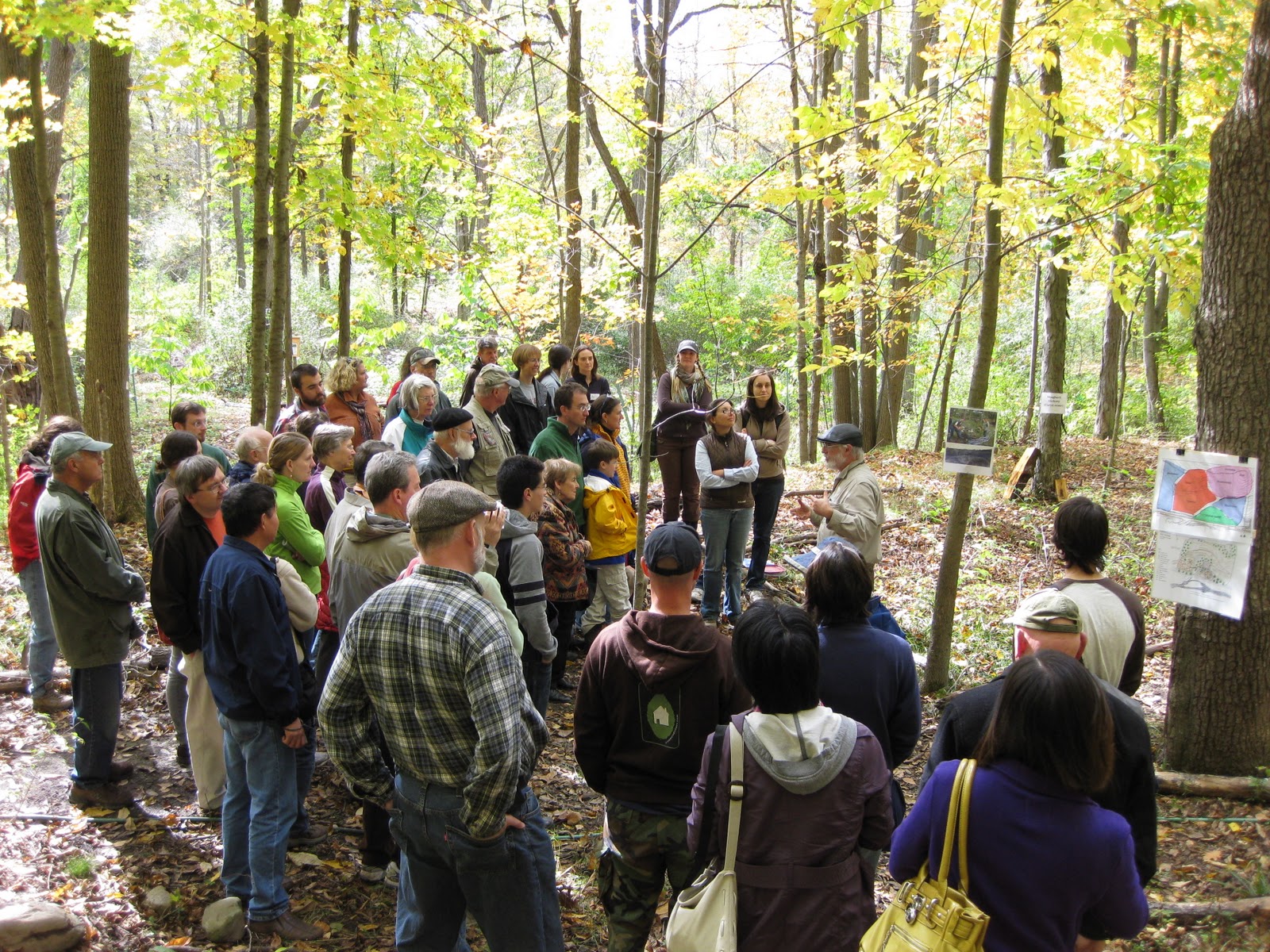Ithaca's Food Web: Cornell's MacDaniels Nut Grove showcases forest farming