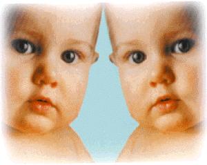 j.campos.gonzalez: Que es un clon?