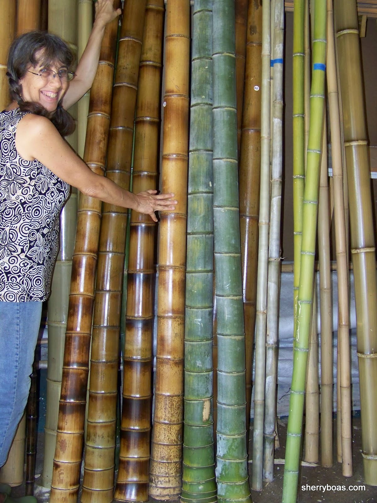 Beautiful Bamboo: Elephant Leg Bamboo Poles