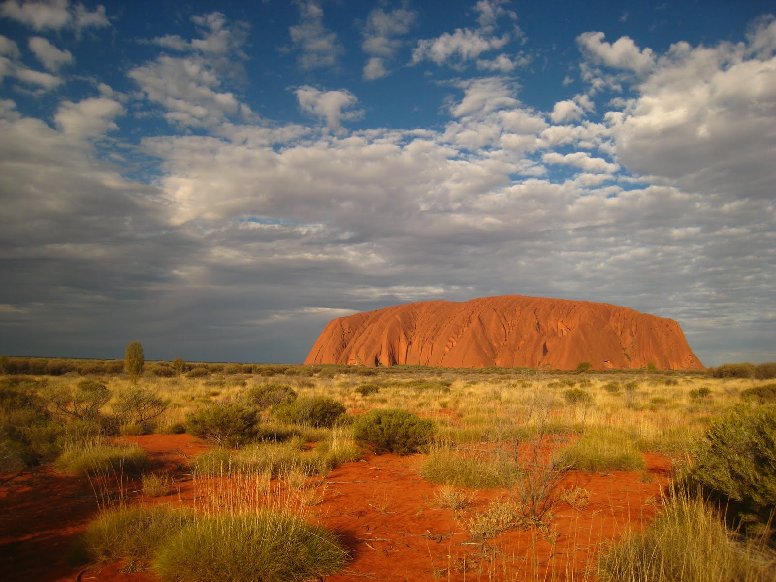 ¿Dónde está Willy Fog?: Tierra roja