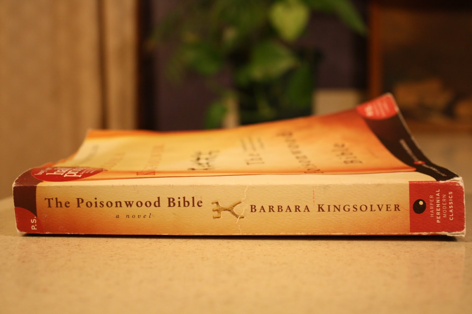 Bits and Pieces: The Poisonwood Bible