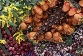 Let's Go Downunder With Pepe: Bush Tucker....