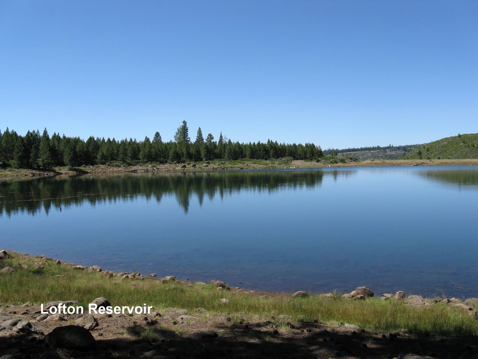 The travels of Ed, Carol and Gopher the dog.: 8/8/10 - 8/15/10