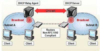 construccion de red area local: ¿Qué son las opciones de DCHP?
