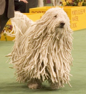 Never Land: Super Dread Dog