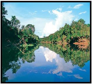 Areas Protegidas: Áreas naturales protegidas de Bolivia