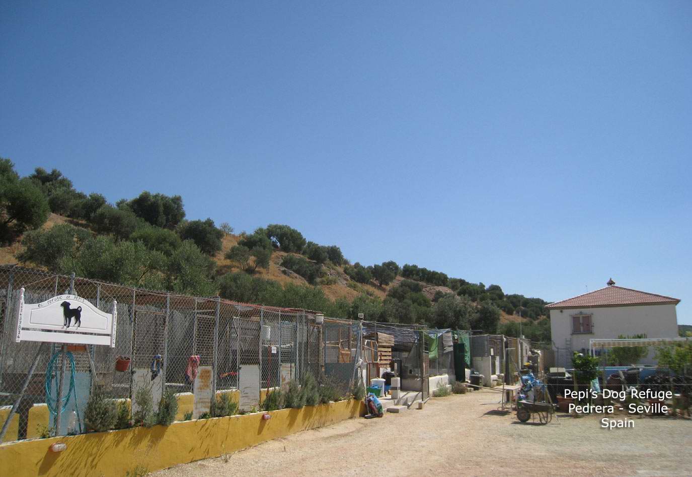 Pepis Dog Refuge in Pedrera