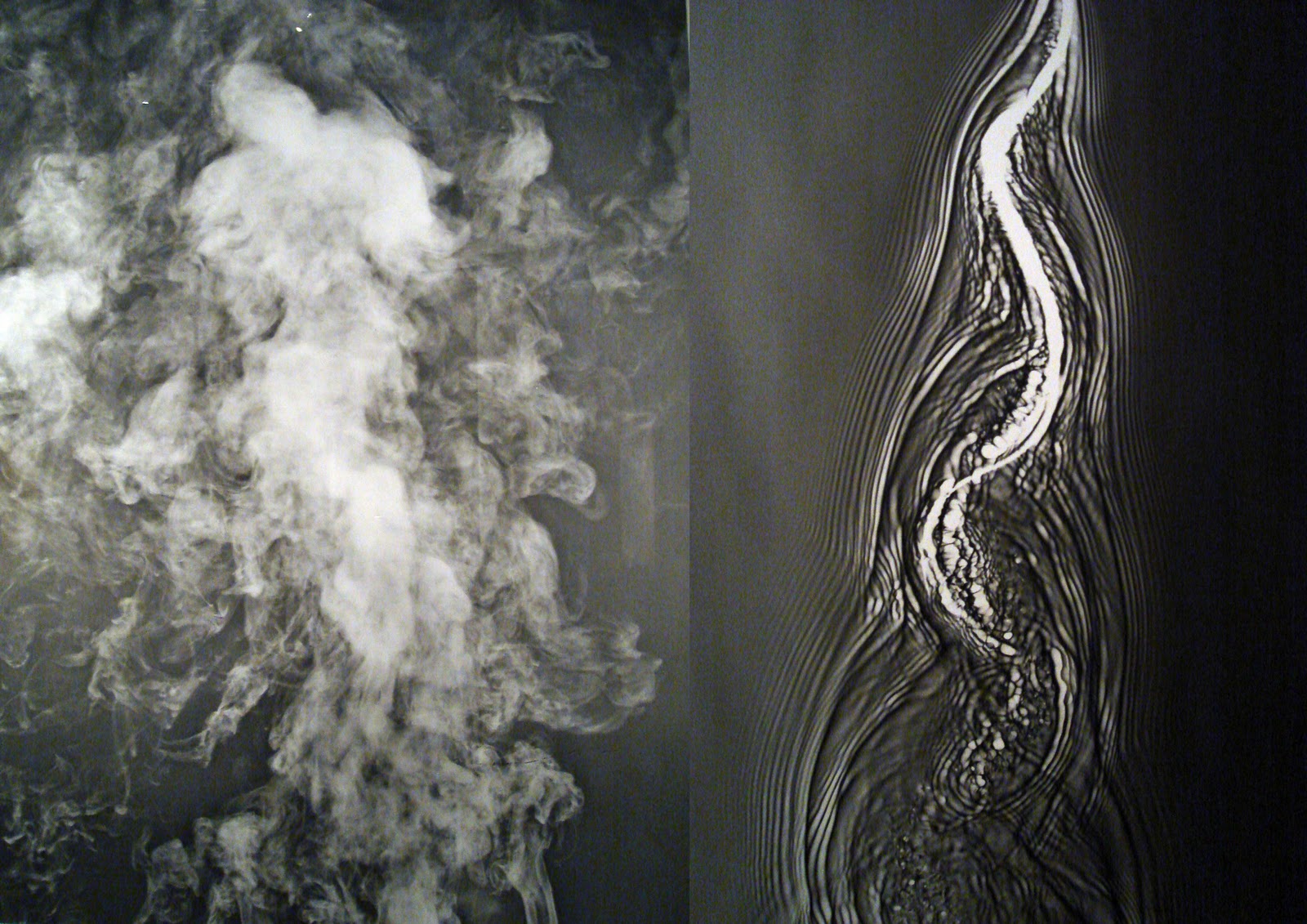 Fashion and Sarcasm: Shadow Catchers: Cameraless Photography