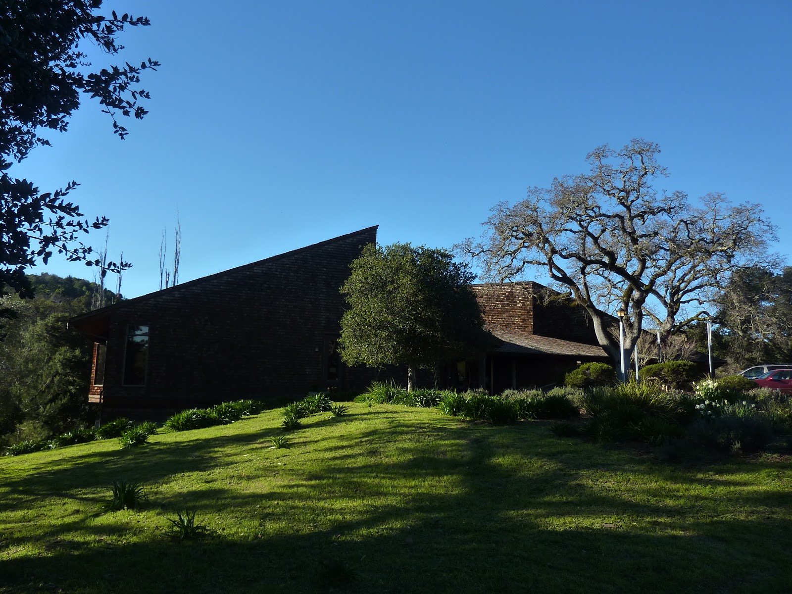 Middagmaal in Amsterdam: Libraries I have known and loved