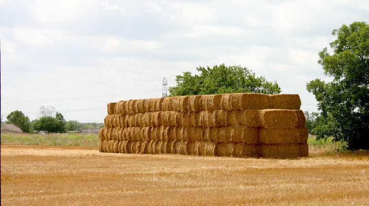 Rockwall County Ag News: Texas Tax Exemptions for Agriculture and ...