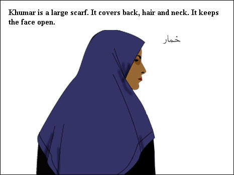 HalfWise: Different forms of Hijab or Parda