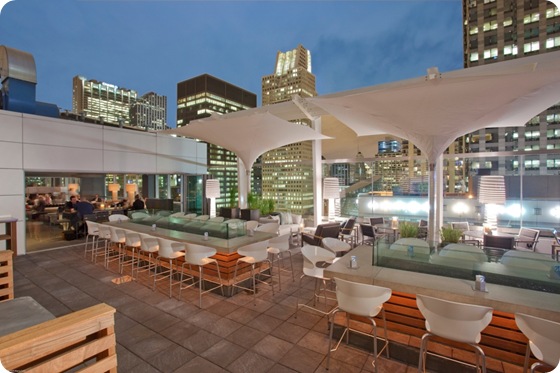 "Socially Inclined": The Wit Rooftop Bar