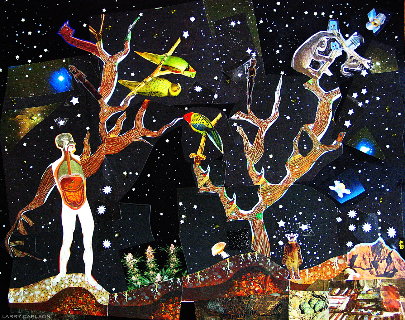 LA SξMBRAD☼RA: TECNOLOGÍA DE LA TRANSFORMACIÓN: LA NUEVA PERSONA