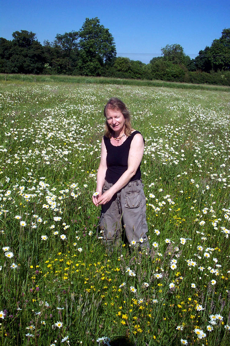 Meadowmaker - Sue Everett online: Projects